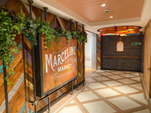 Disney Wish Cruise Review - Plowing Through Life