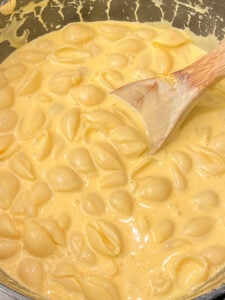 Velveeta Shells and Cheese - Plowing Through Life