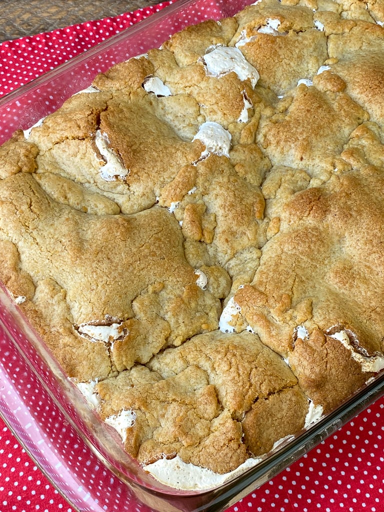 Smores Cake - Plowing Through Life