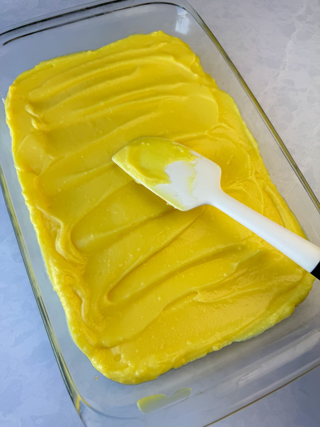 Lemon Delight - Plowing Through Life