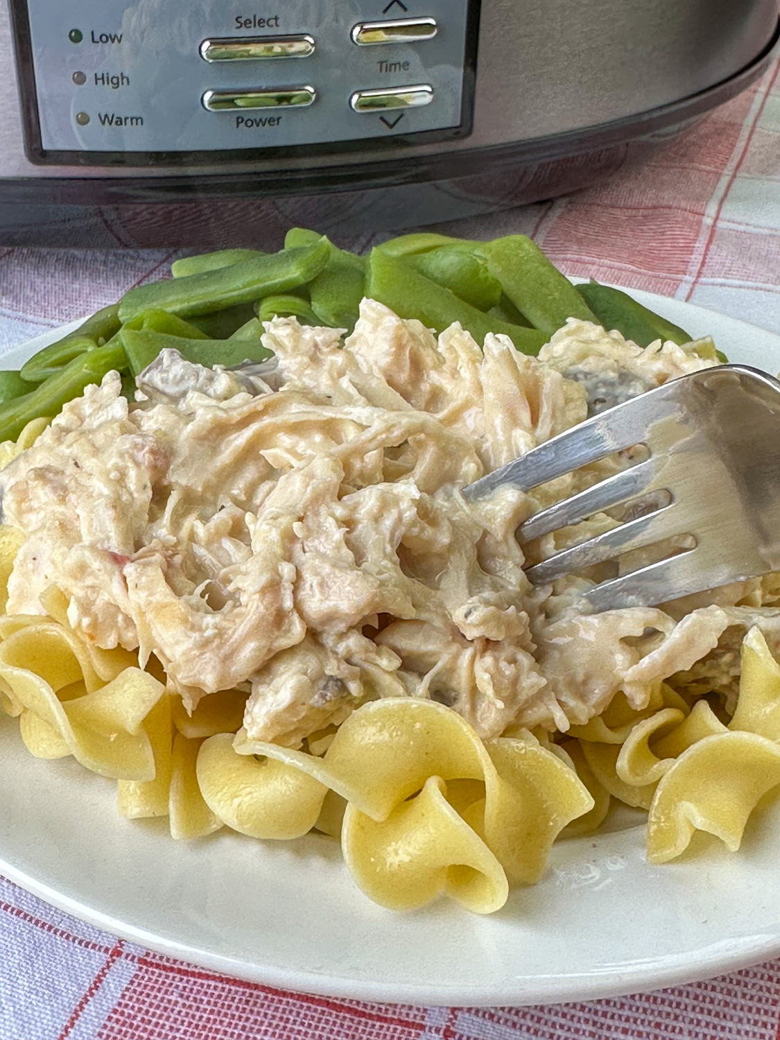 Crock Pot Italian Chicken - Plowing Through Life