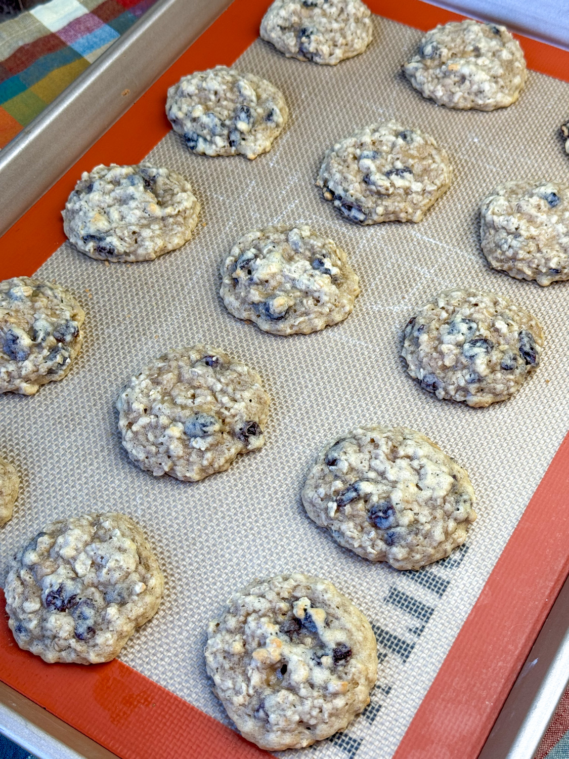 Old Fashioned Oatmeal Cookies - Plowing Through Life