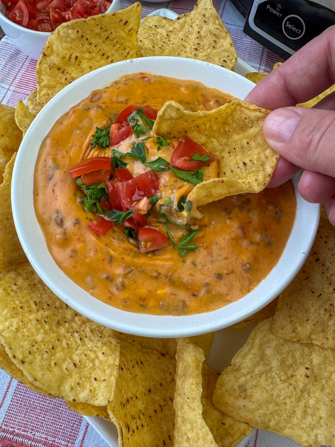 Velveeta Cheeseburger Dip - Plowing Through Life