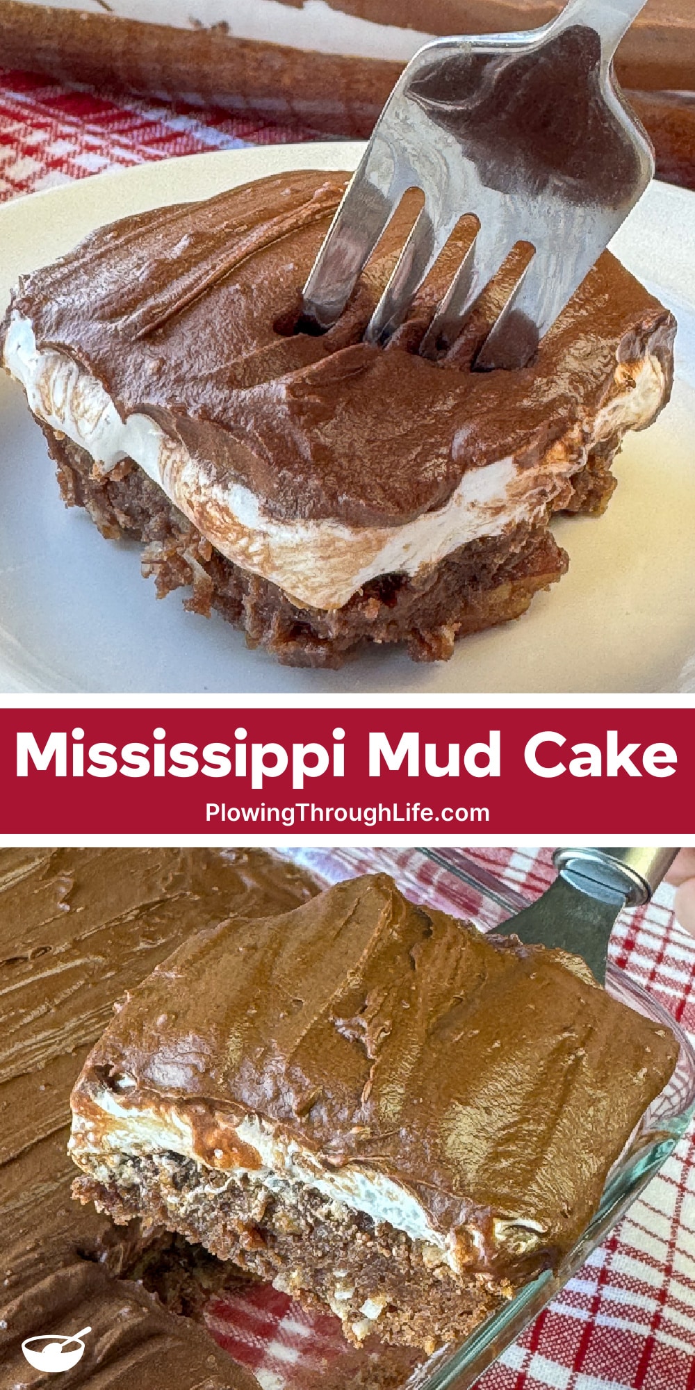 Easy Mississippi Mud Cake - Plowing Through Life