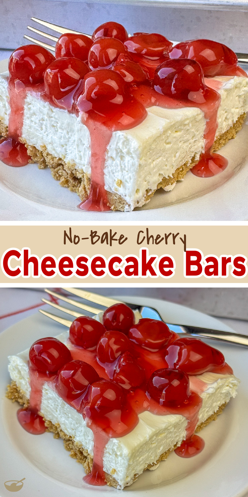 Cheesecake For A Crowd - Plowing Through Life