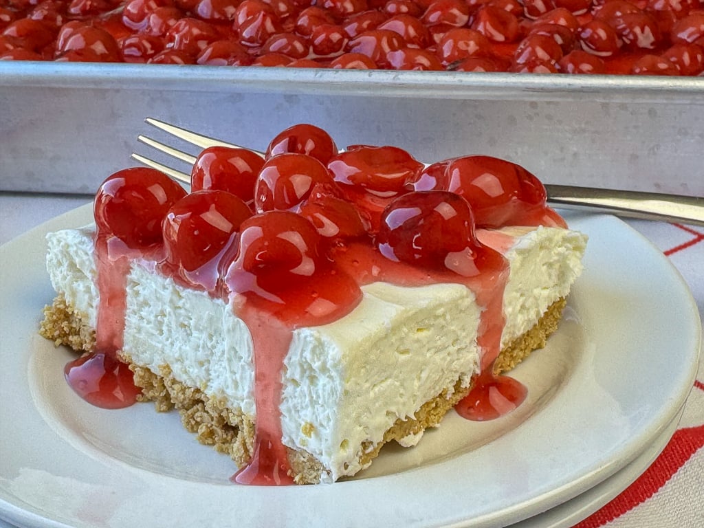 Cheesecake For A Crowd - Plowing Through Life